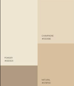 Collections – NOISSEY